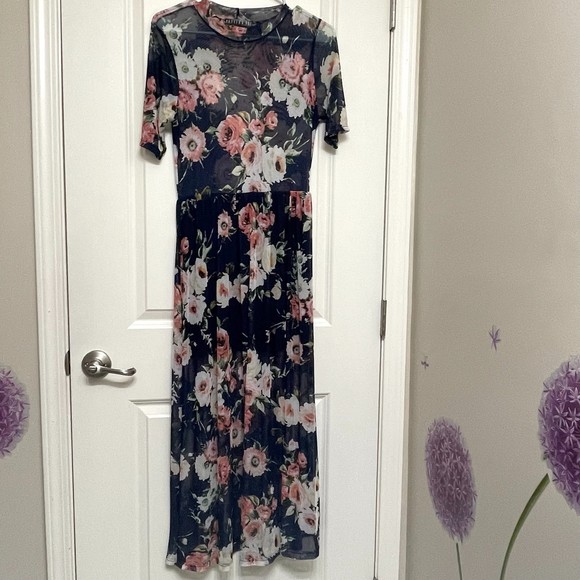 Potter's Pot | Dresses | Sheer Maxi Dress | Poshmark